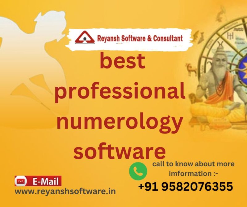 BEST PROFESSIONAL NUMEROLOGY SOFTWARE