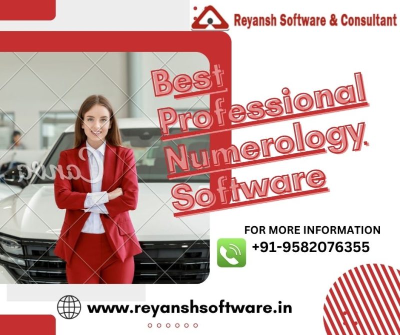 best professional numerology software
